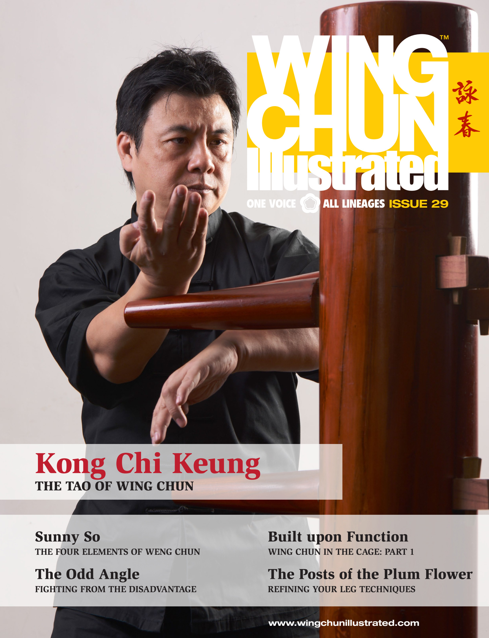 Issue 29: April 2016 - Wing Chun Illustrated Magazine