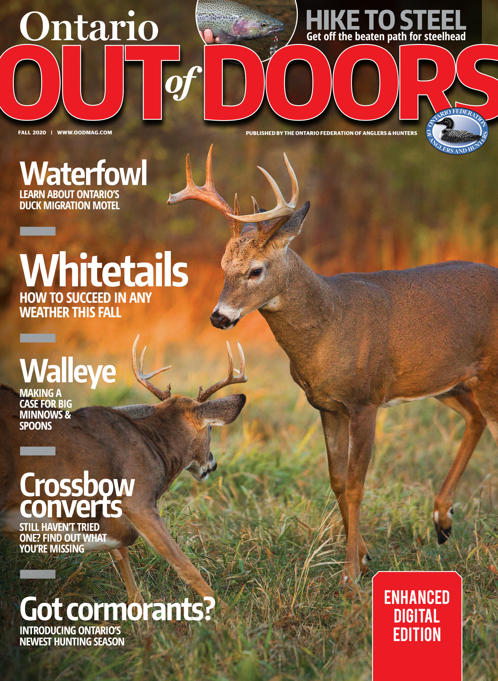 Fall 2020 - ONTARIO OUT of DOORS