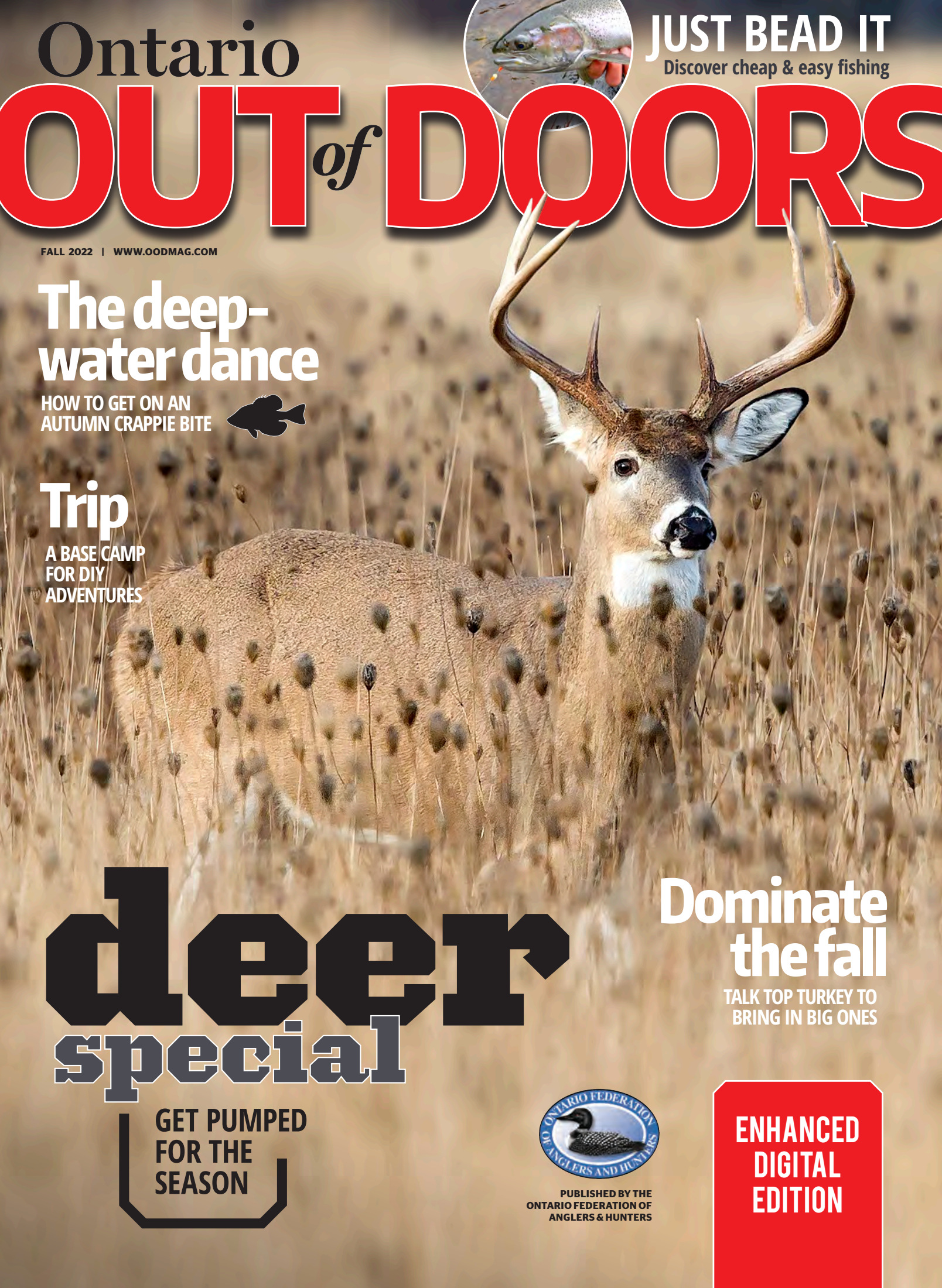 Fall 2022 - ONTARIO OUT of DOORS